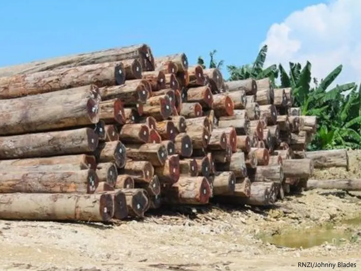 Png Plea For Government Action Over Large Scale Illegal Logging Pipap